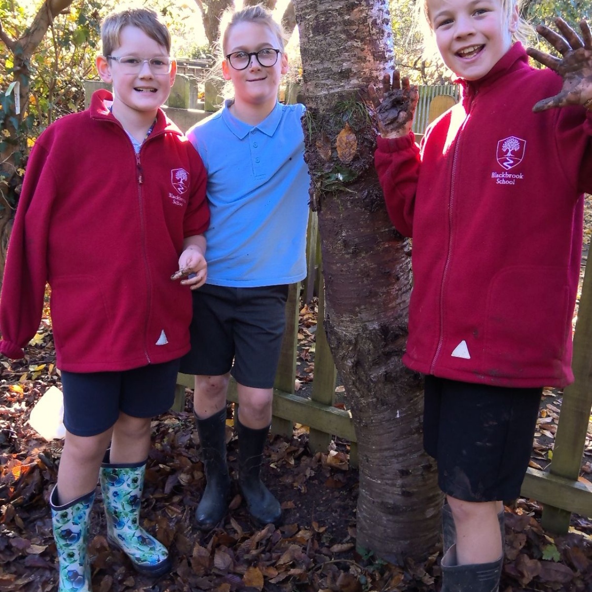 Blackbrook School - Class 5: Forest School
